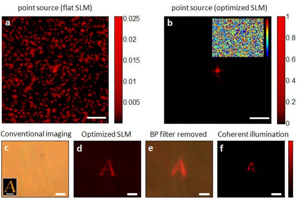 Camera Developed By Israeli Scientists Can See Through Skin - The Tech ...