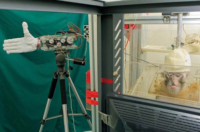 Wireless Window Sensors: Standalone Intrusion Detection System - The ...