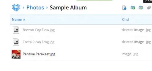 [Tutorial] How To Permanently Delete a File In Dropbox - The Tech Journal