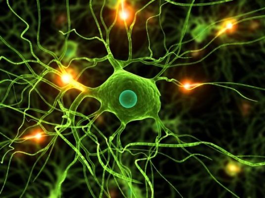 Scientists Successfully Use Urine To Create Brain Cells - The Tech Journal