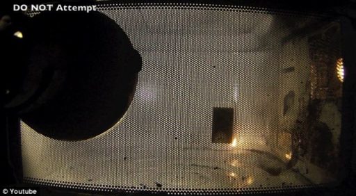 See What Happens When One Tries To Charge iPhone 5 Using Microwave Oven ...